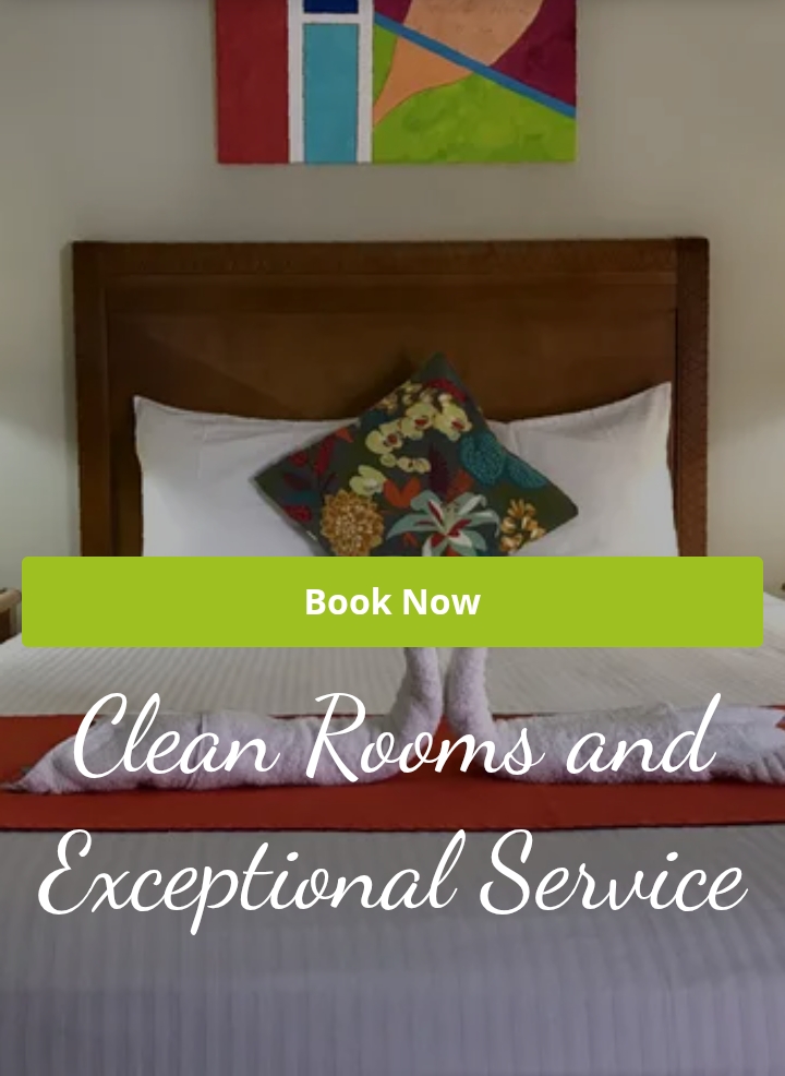 Alicia's Inn - Equipex